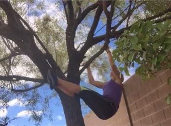 Most Consecutive L Pull-Ups On A Tree Branch In One Minute | World ...