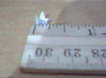 Smallest Origami Crane | World Record | Matthew Bertalan