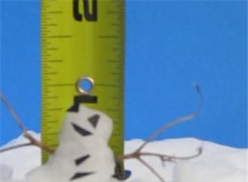 Smallest Snowman | World Record | Doug McManaman