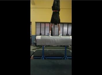 Longest Handstand On A Gymnastics Pommel Horse | World Record | Rahul ...