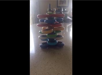 Tallest Fidget Spinner Tower | World Record | Anita Ryan